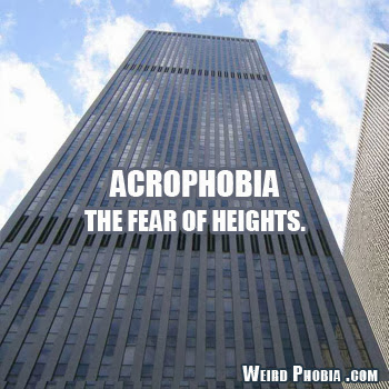 Collections: Phobias