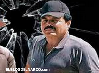 Noticias sobre el narco : MundoNarco.Com