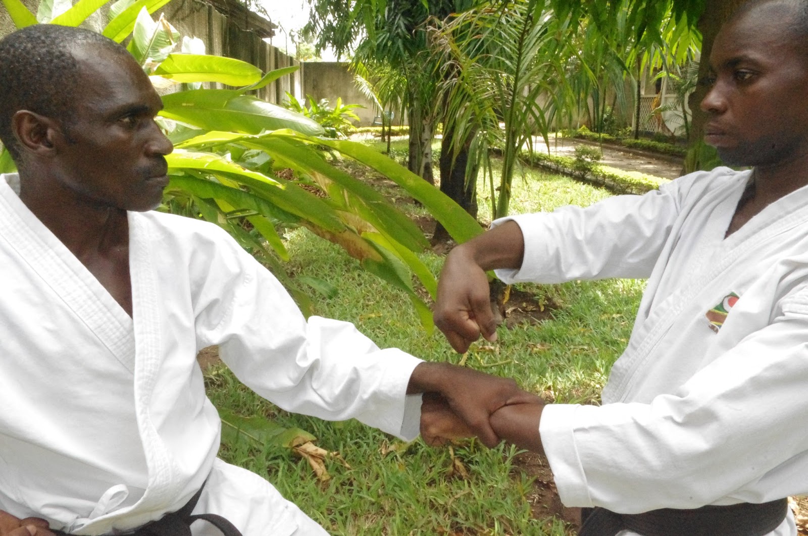 Karate Terminology - THE BLACK SAMURAI