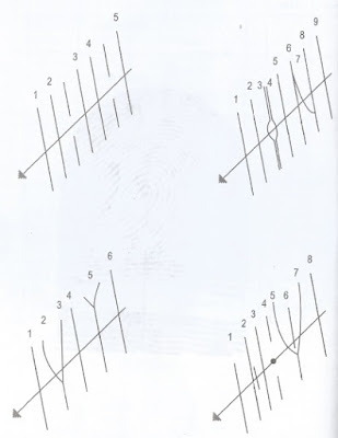 CRIMINALISTICA PANAMA: MODULO 1 IDENTIFICACIÓN Y CLASIFICACIÓN DE ...