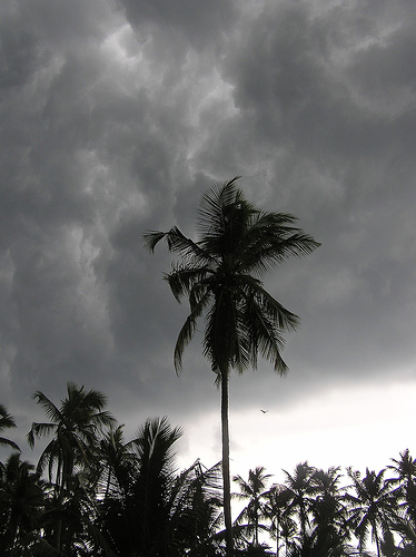 Time To See Dreamzz.......: July 2012