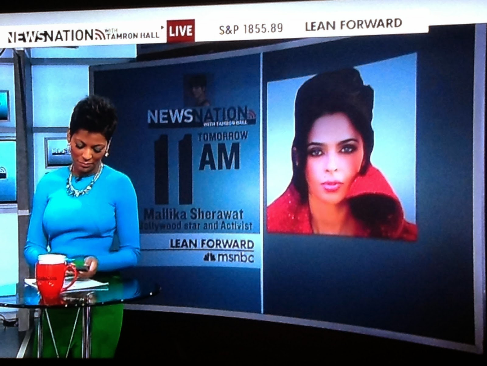 HOLLYWOOD SUE CAMERON: STAR AND ACTIVIST MALLIKA SHERAWAT ON MSNBC'S ...