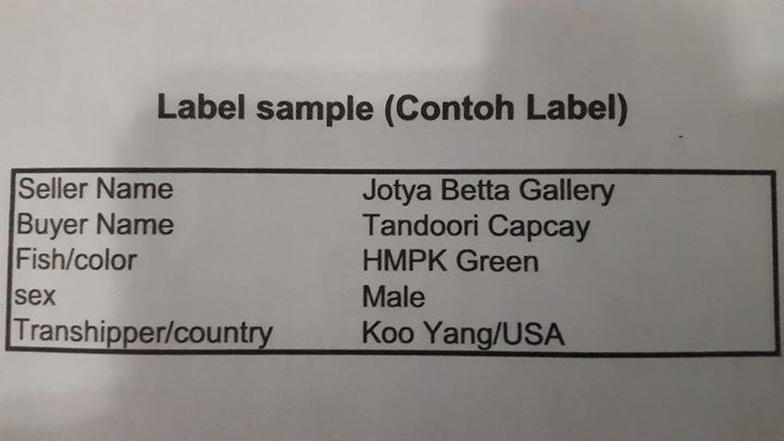 Cara Packing untuk Export | Info Shipping Service