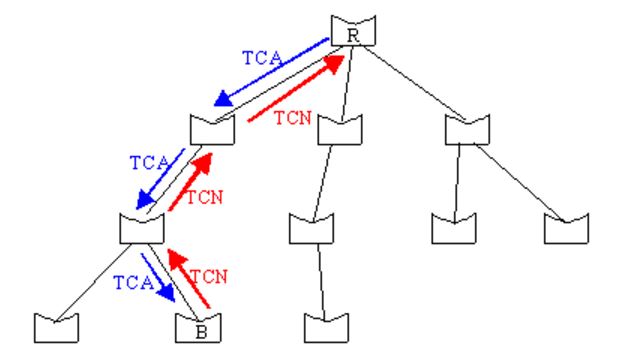 Classic STP Convergence
