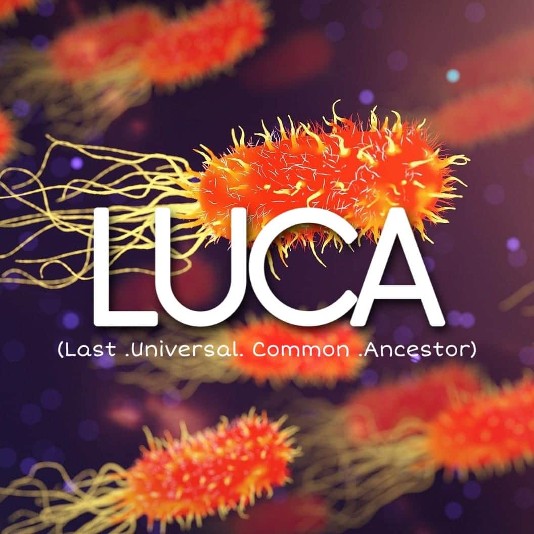 Malayalam Article of LUCA | The Last Universal Common Ancestor അഥവാ ...