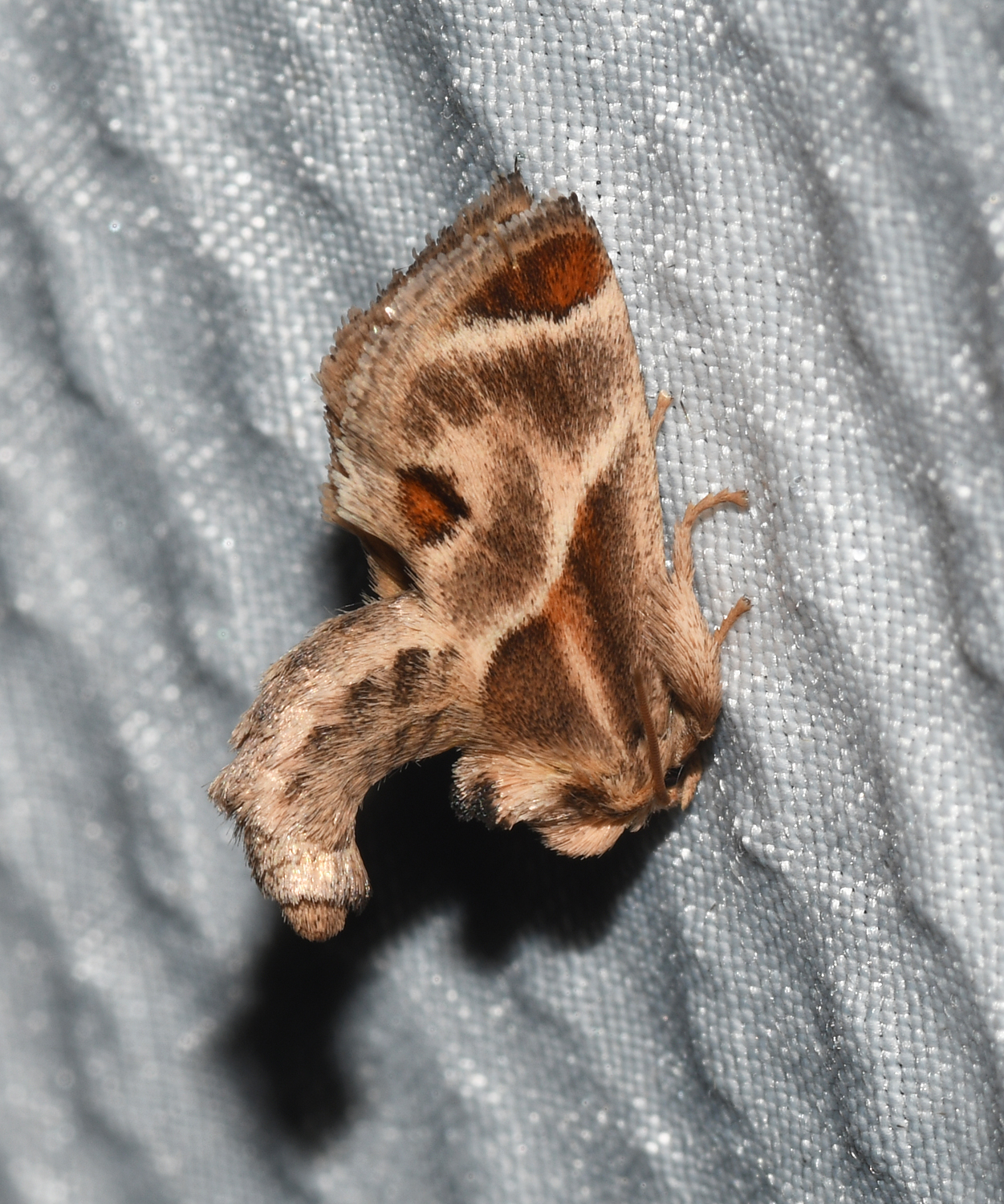 Explorations of an Ecologist: July 2020