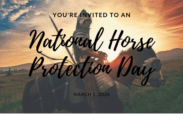 National Horse Protection Day Details & Images | Images Unfolded ...