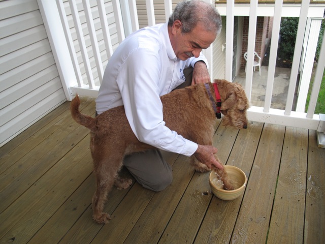 Another American Adventure: the dinky dunk - UPDATED