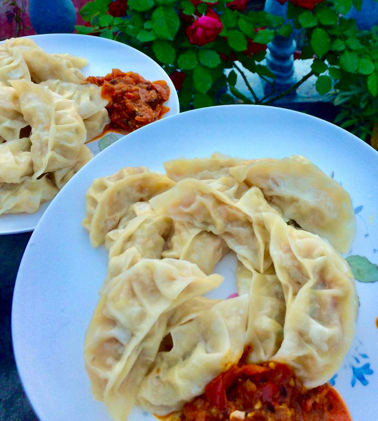 Easy and Simple Vegetable Dumplings Recipe
