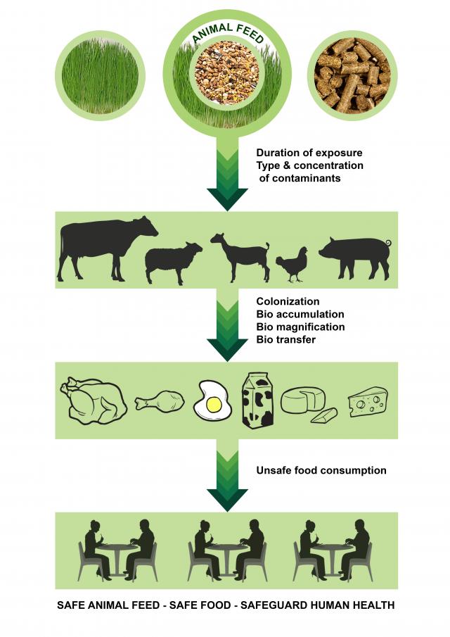 ISO 22000 Resource Center: Food Quality and Safety - III