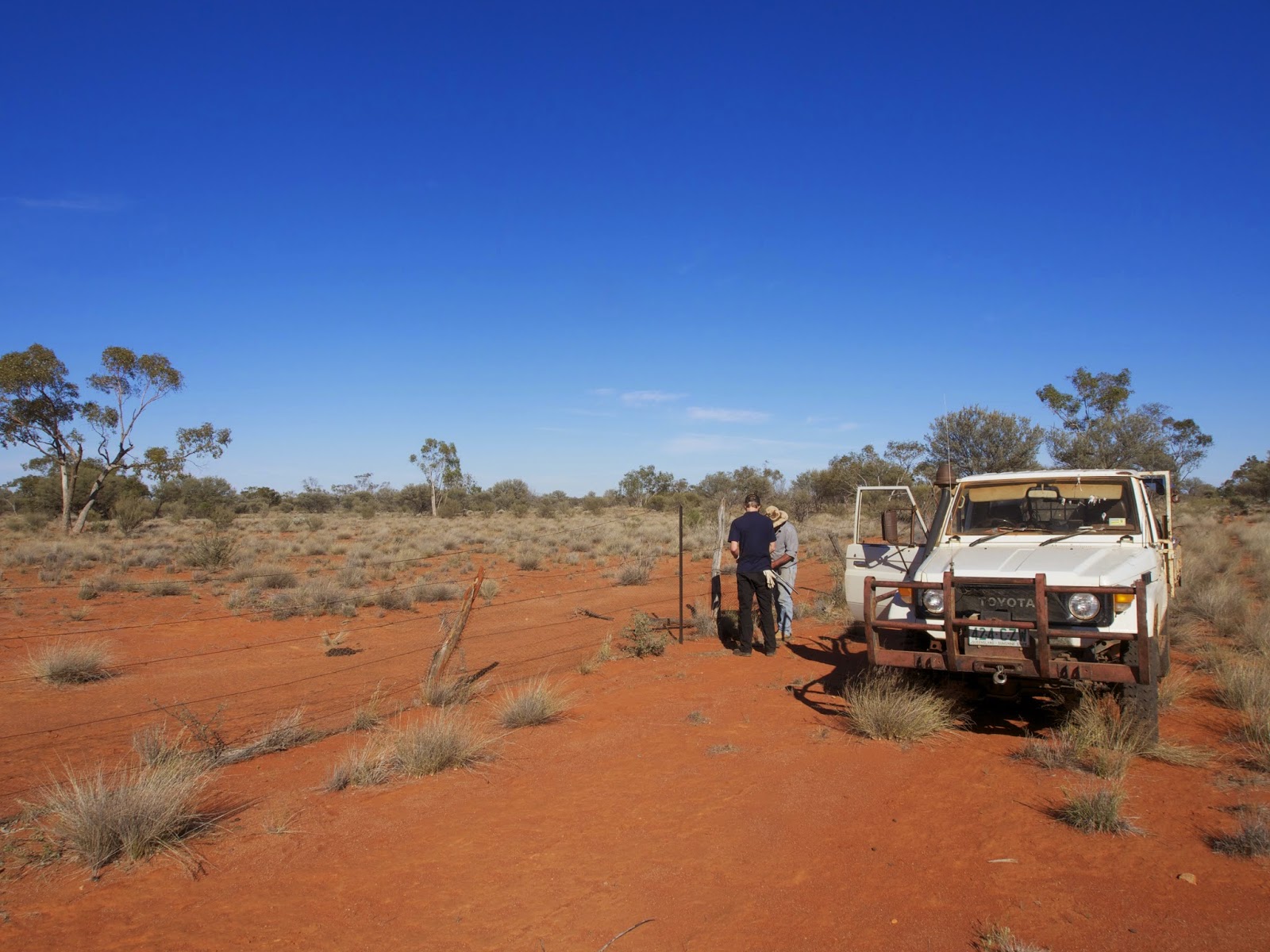 Bits n Bobs: Outback fencing