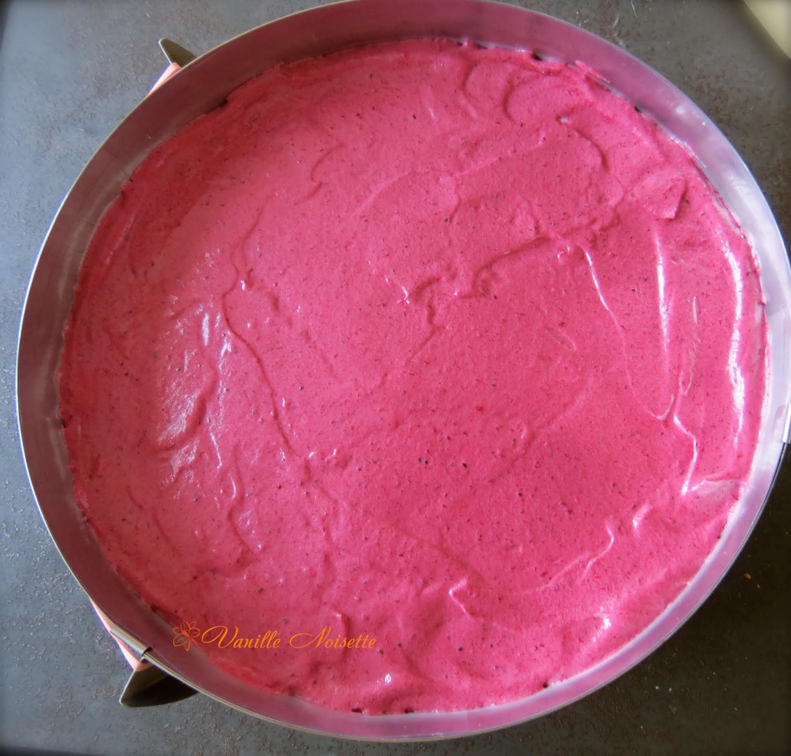 Vanille Noisette : BAVAROIS VANILLE/FRUITS ROUGES