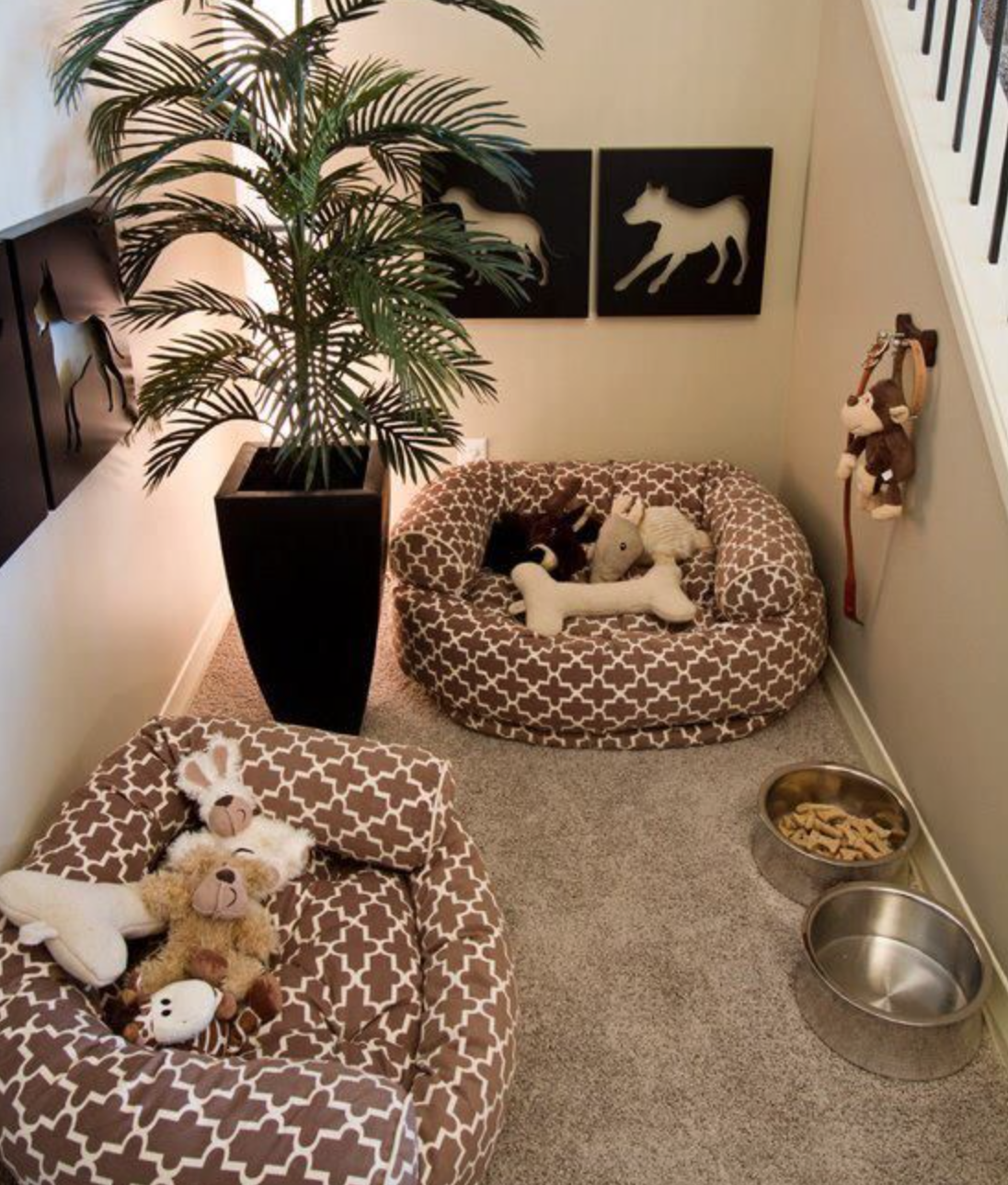 How To Dress Your Home How To Make Your Pet s Areas Look Stylish how-to-dress-your-home-how-to-make-your-pet-s-areas-look-stylish