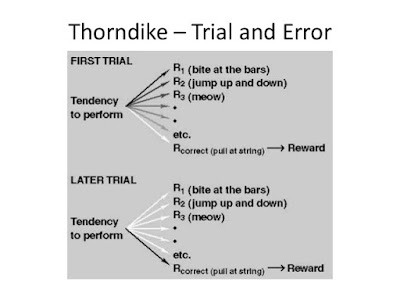 VIDYA'S PHOENIX: PSYCHOLOGY OF TEACHING AND LEARNING ::TRIAL AND ERROR ...