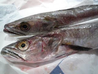 Bolli's Kitchen: Merluchon aux rattes - Kleiner Seehecht mit Rattes ...