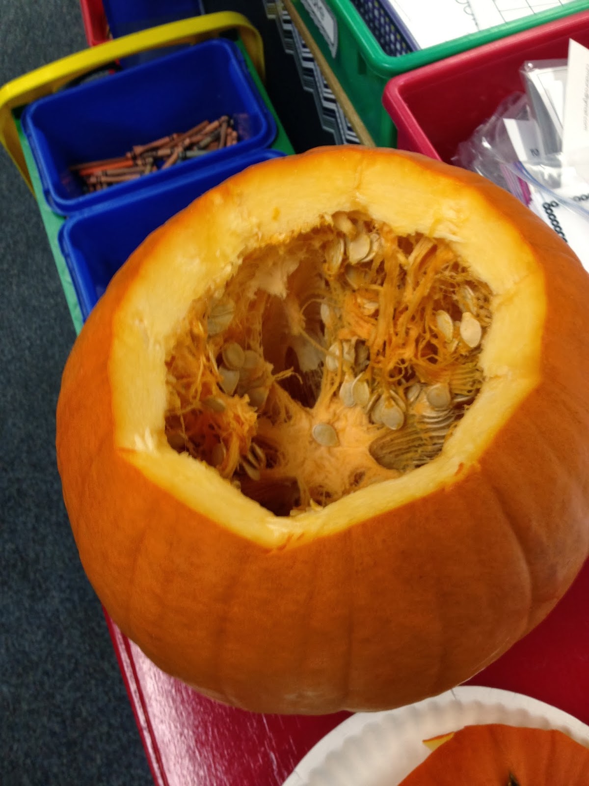 A Tale of Two K Teachers: Pumpkin Seeds and Halloween Stations
