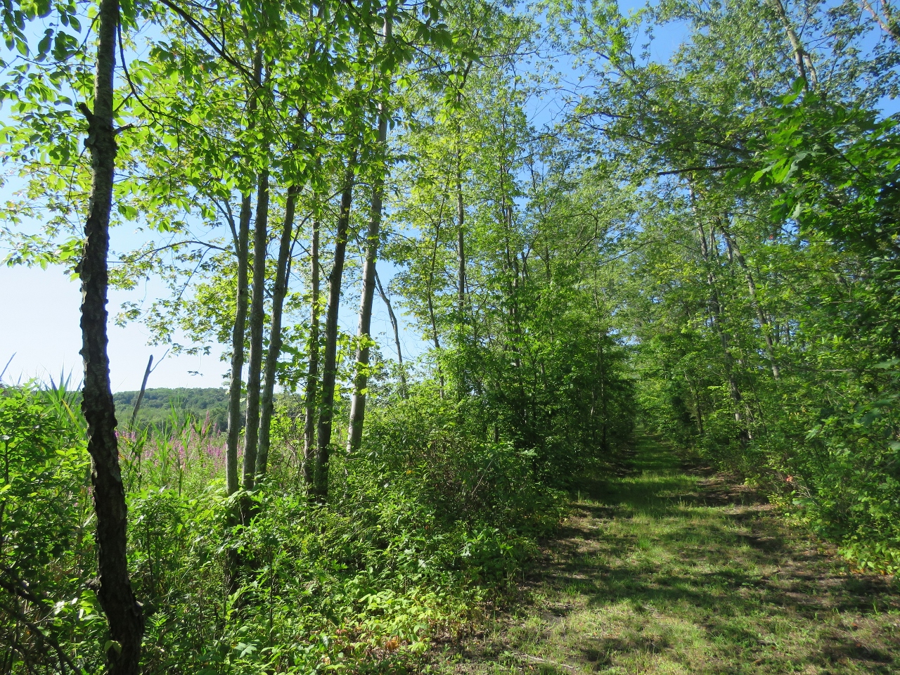 Gone Hikin': Wallkill River National Wildlife Refuge, NJ - Timberdoodle ...