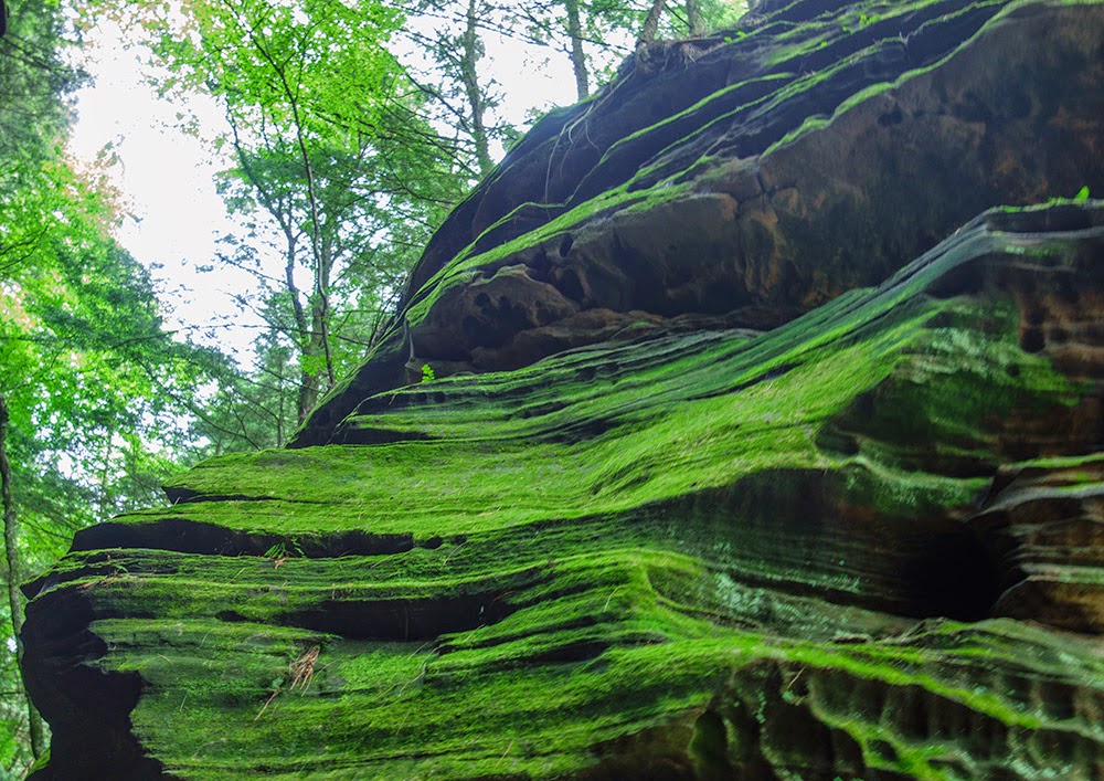 Merikay's Dream : Wisconsin Dells