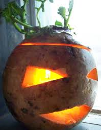 Surviving Ireland: Just in Time for Trick or Treat: The Ancient Irish ...