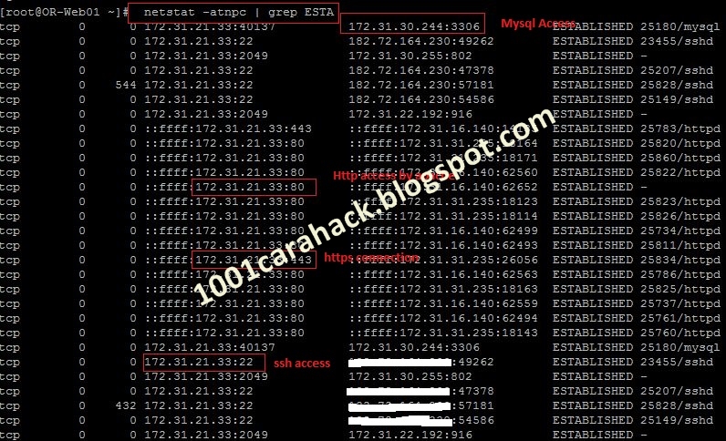 Dasar-Dasar Cara Menjadi Hacker Hingga Jadi Professional ~ CHEAT HACK ...