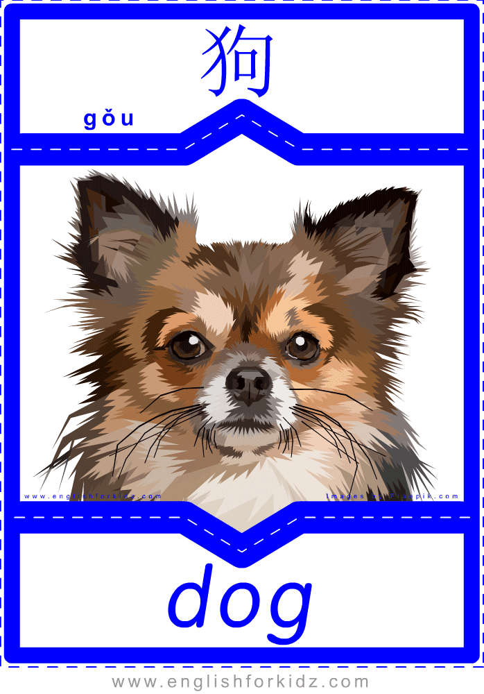 English-Chinese Flashcards: Pets
