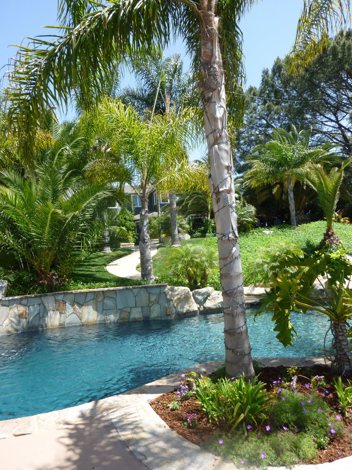 A Place to Share: Welcome to the Encinitas Garden Tour on Crest Drive