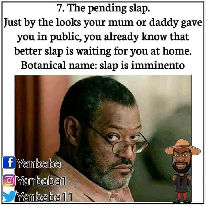 Stella Dimoko Korkus.com: Different Types Of Slaps And Their Botanical ...