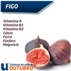 ALLISSONECOMPANHIA: FIGOS SECOS... e suas propriedades