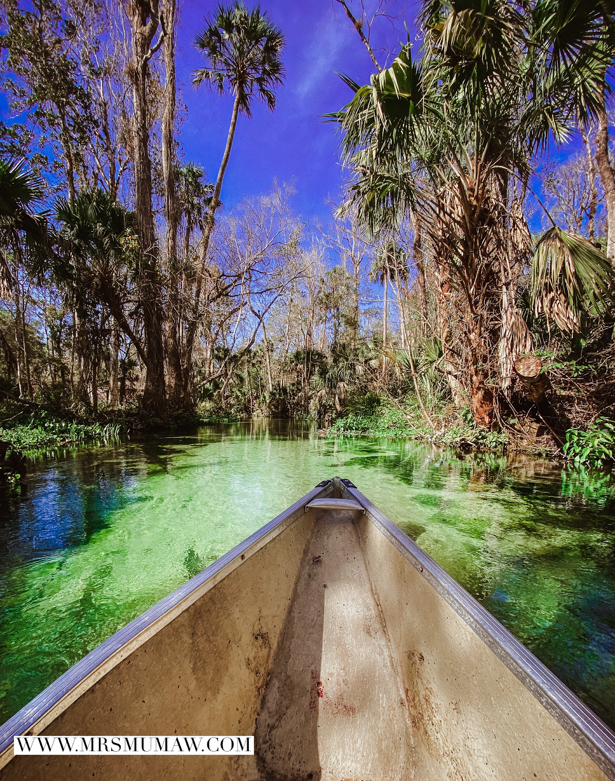 Canoeing Kings Landing Florida with Kids | Kelly Park Apopka Florida ...