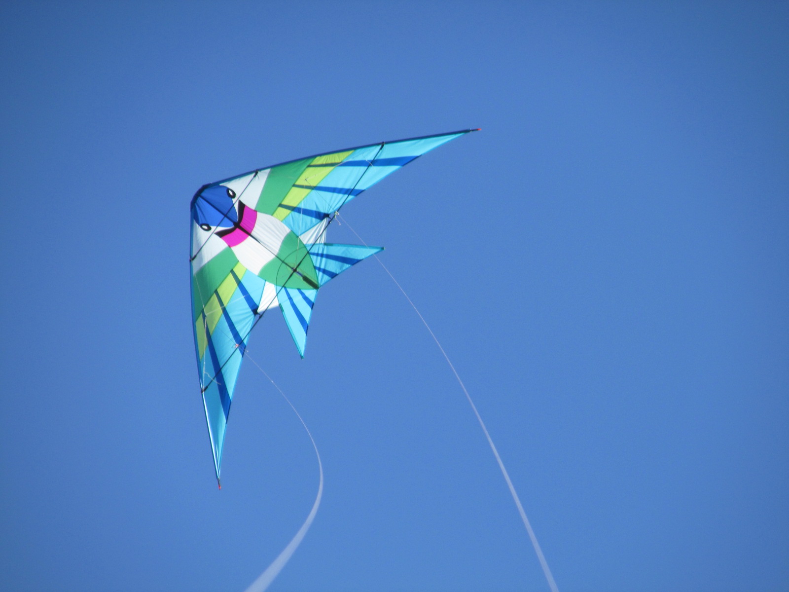 Flying Fish Kiting Team: A full set of Joel Scholz dualies