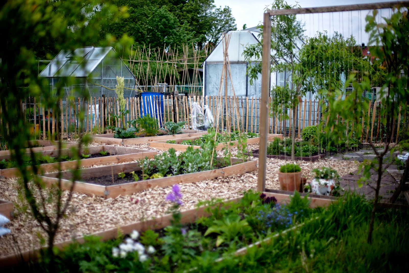 Mijn Huis, Tuin & Keuken ...: De Moestuin op 18 mei 2015