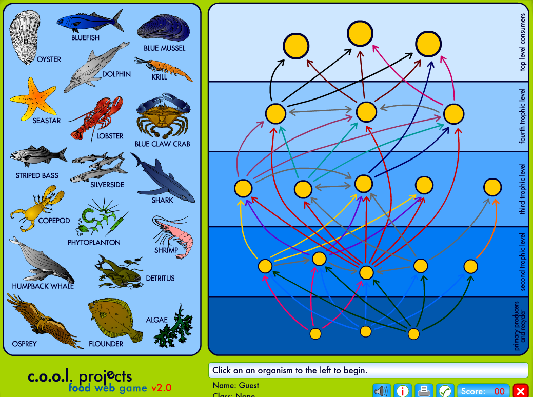 Food web game - tankolx