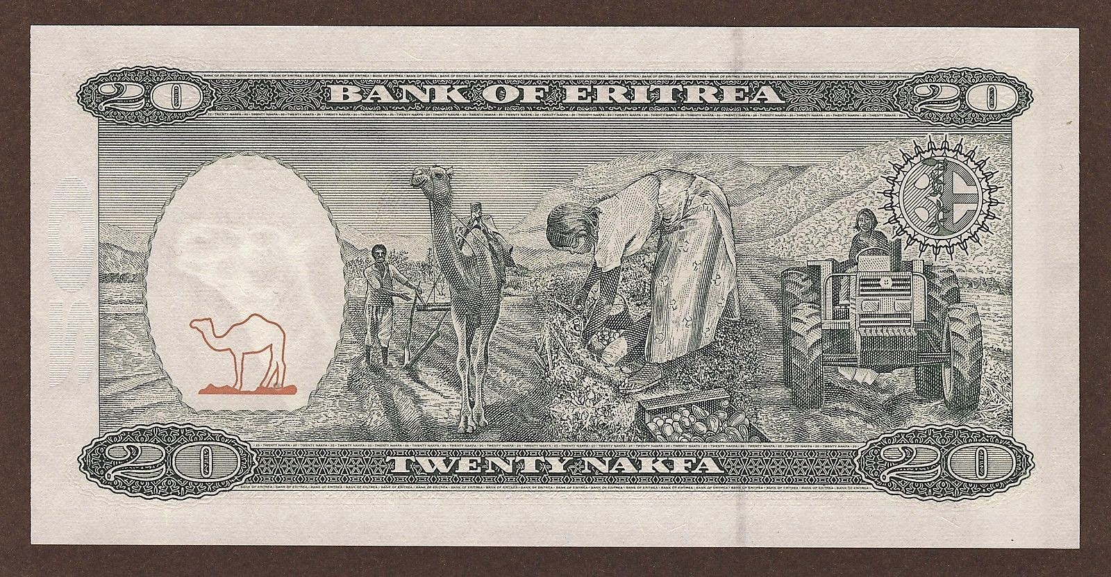 Eritrea 20 Nakfa Note 1997|World Banknotes & Coins Pictures | Old Money ...