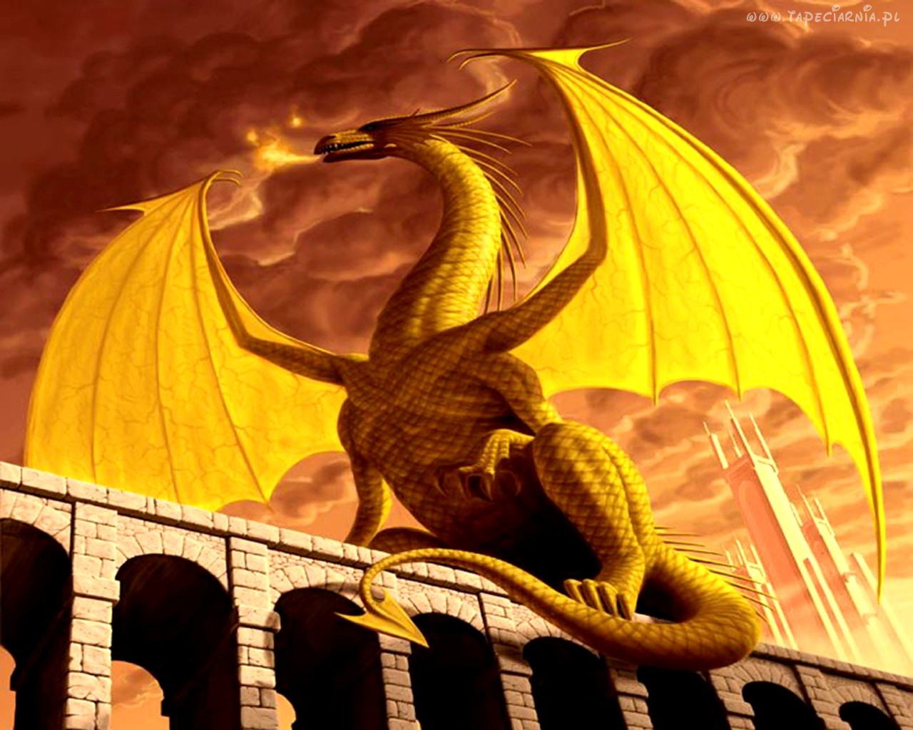 Ściana Ognia: Smoki