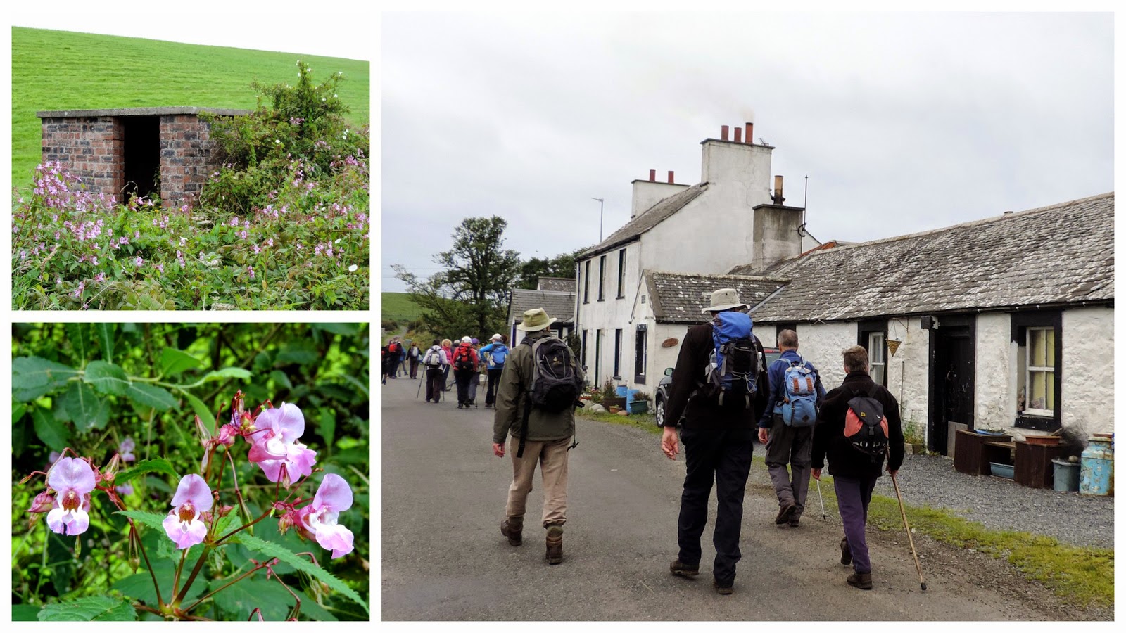 The Glebe Blog: Wigtownshire Ramblers Ardwell Coast to Coast and ...