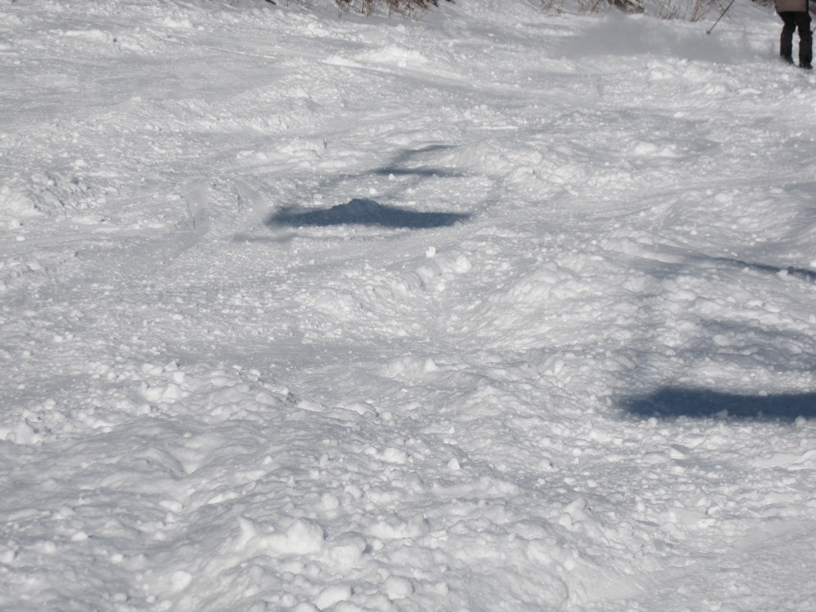 Geezer Skier: Snow Feast - Snow Bones