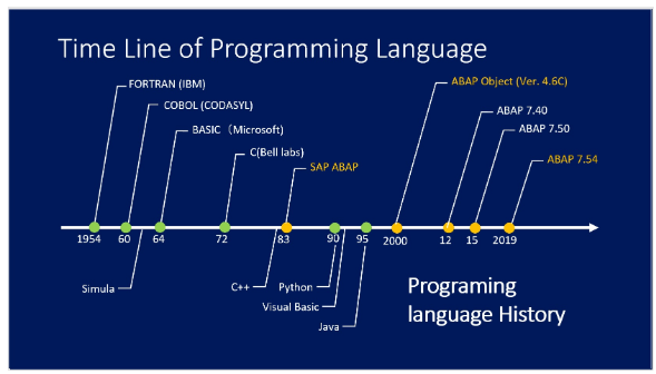 Do you know ABAP as a Programing Language?