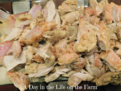 A Day in the Life on the Farm: Roast Chicken Shwarma #BakingBloggers