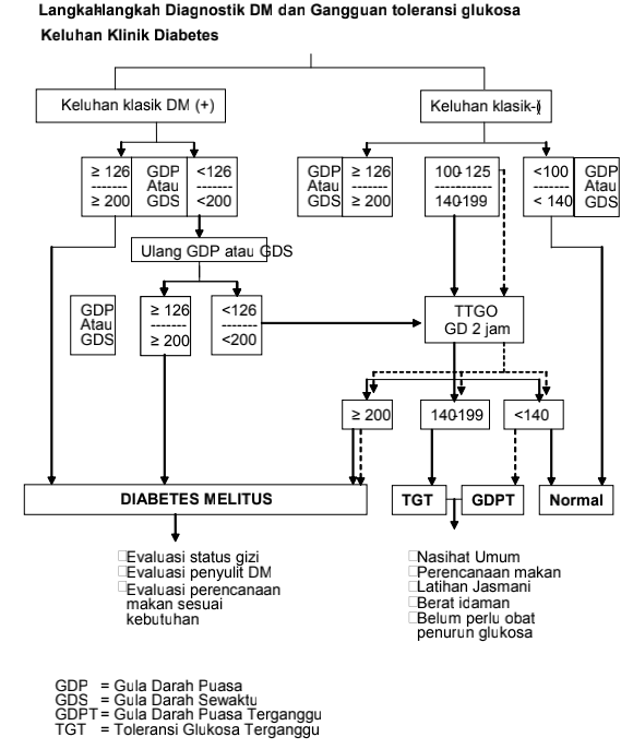 Diabetes Mellitus: Diagnosis, Patogenesis, Tanda, Gejala, dan ...