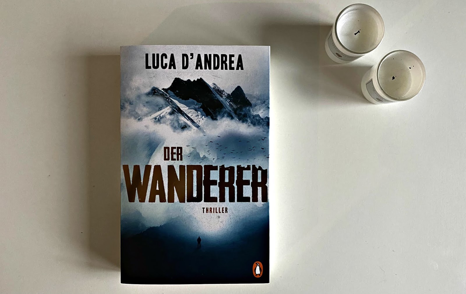 [Anzeige/Rezension] Der Wanderer - Luca d'Andrea - misshappyreading