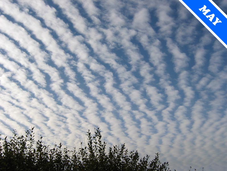 Fx Blog: Altocumulus clouds