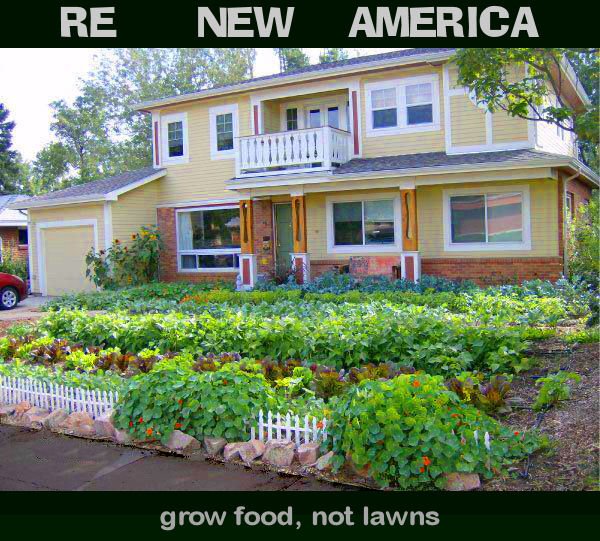 Not Buying Anything: Grow Food, Not Lawns