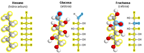 El Dojo de Kalvin: La función del azúcar