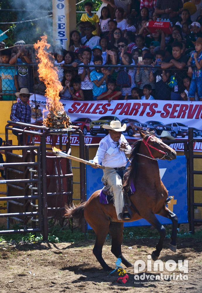 RODEO FESTIVAL Experience in Masbate City | Blogs, Travel Guides ...