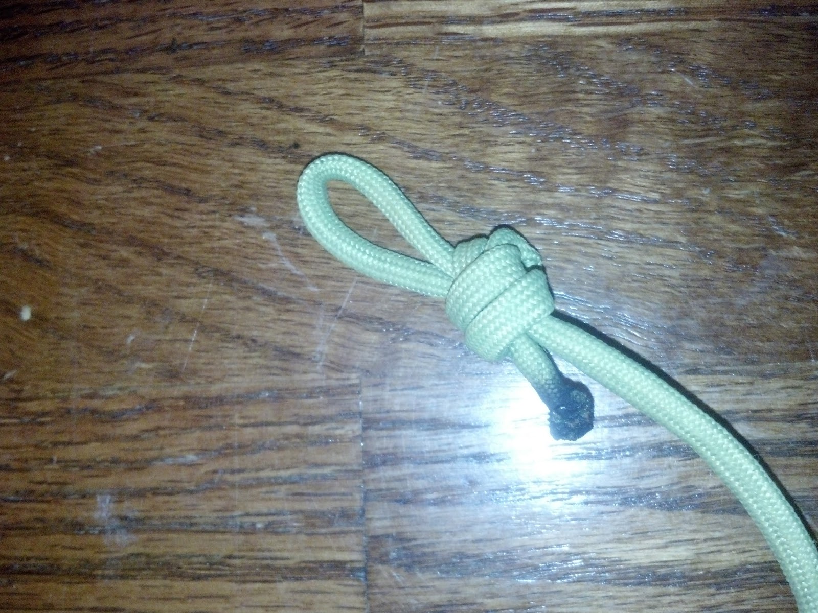 Retriever Training Program: From 7-8 weeks old: Use until formal ...