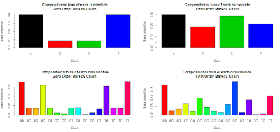Introduction to Markov Chains and modeling DNA sequences in R | R-bloggers