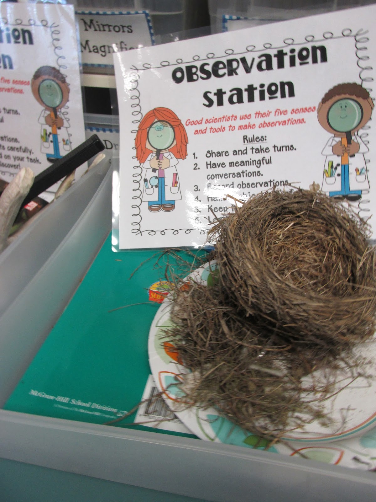 Third Grade Thinkers: Creating a Science Station