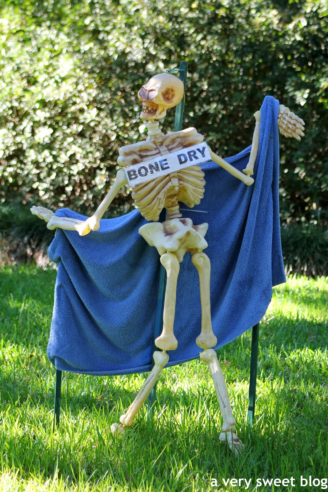 Funny Bones | A Very Sweet Blog