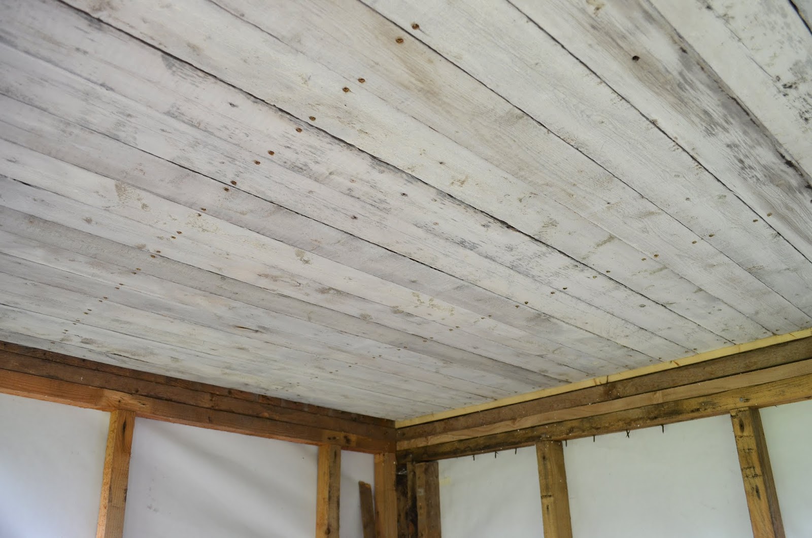 Pear Tree Cottage Garden: August 2012