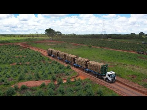 DIECIOCHO RUEDAS: SCANIA 770 S V8 DE 770 CV? .. POTENCIA SIN SENTIDO ...